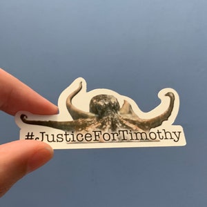 Justice for Timothy the Octopus Sticker, the Boys Inspired Stickers ...