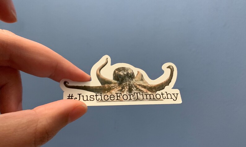 Justice for Timothy the Octopus Sticker the Boys Inspired - Etsy