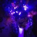 Lighted Masquerade Mask Lighted Mask Lighted Mask Masquerade Mask Mardi ...