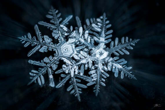 Double Snowflake #2 real stellar dendrites stacked A Fine art image of ...