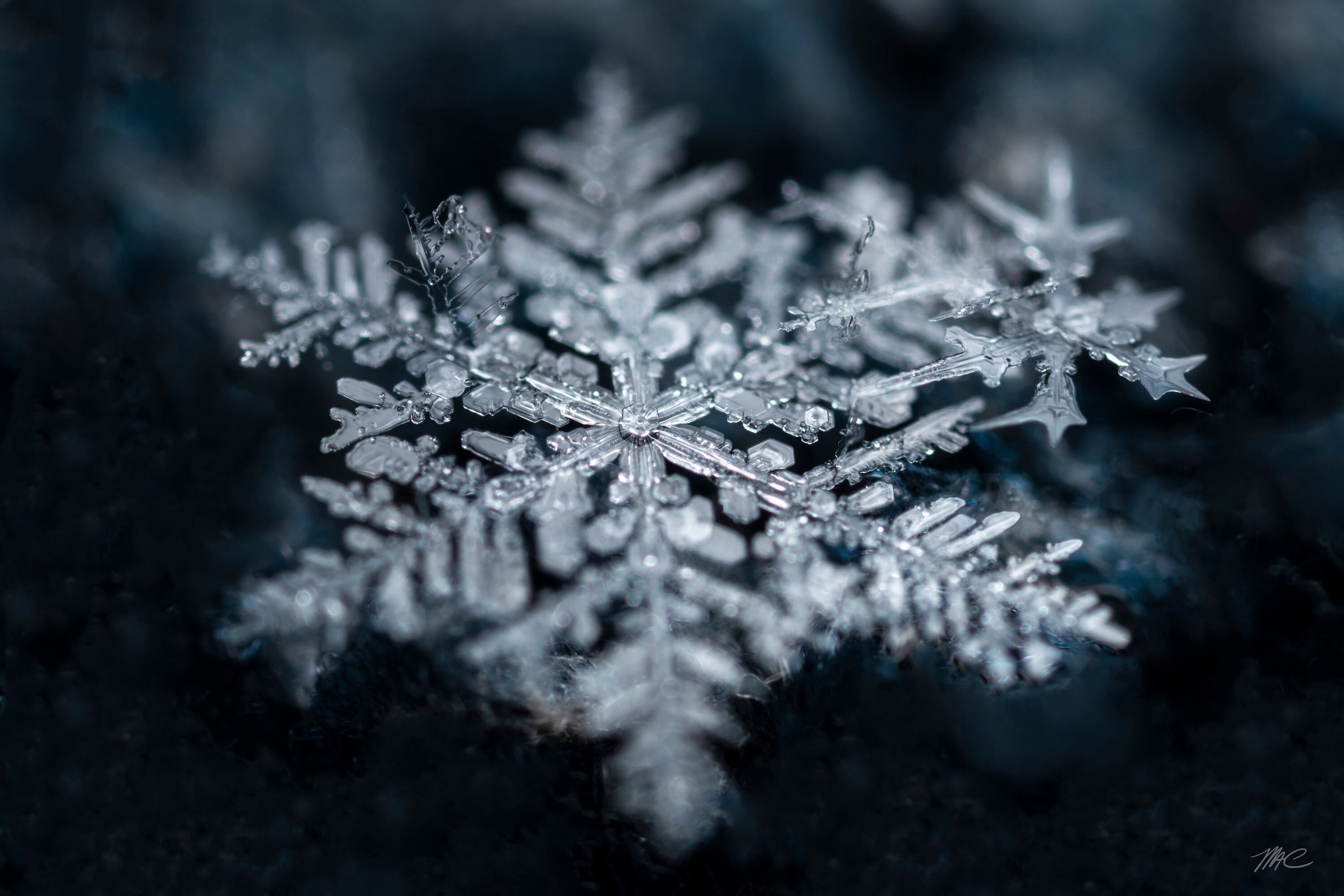 Beautiful Snowflake Photography