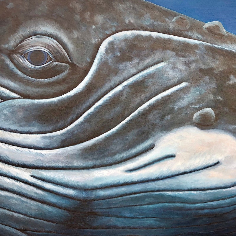 Whale Art - Etsy