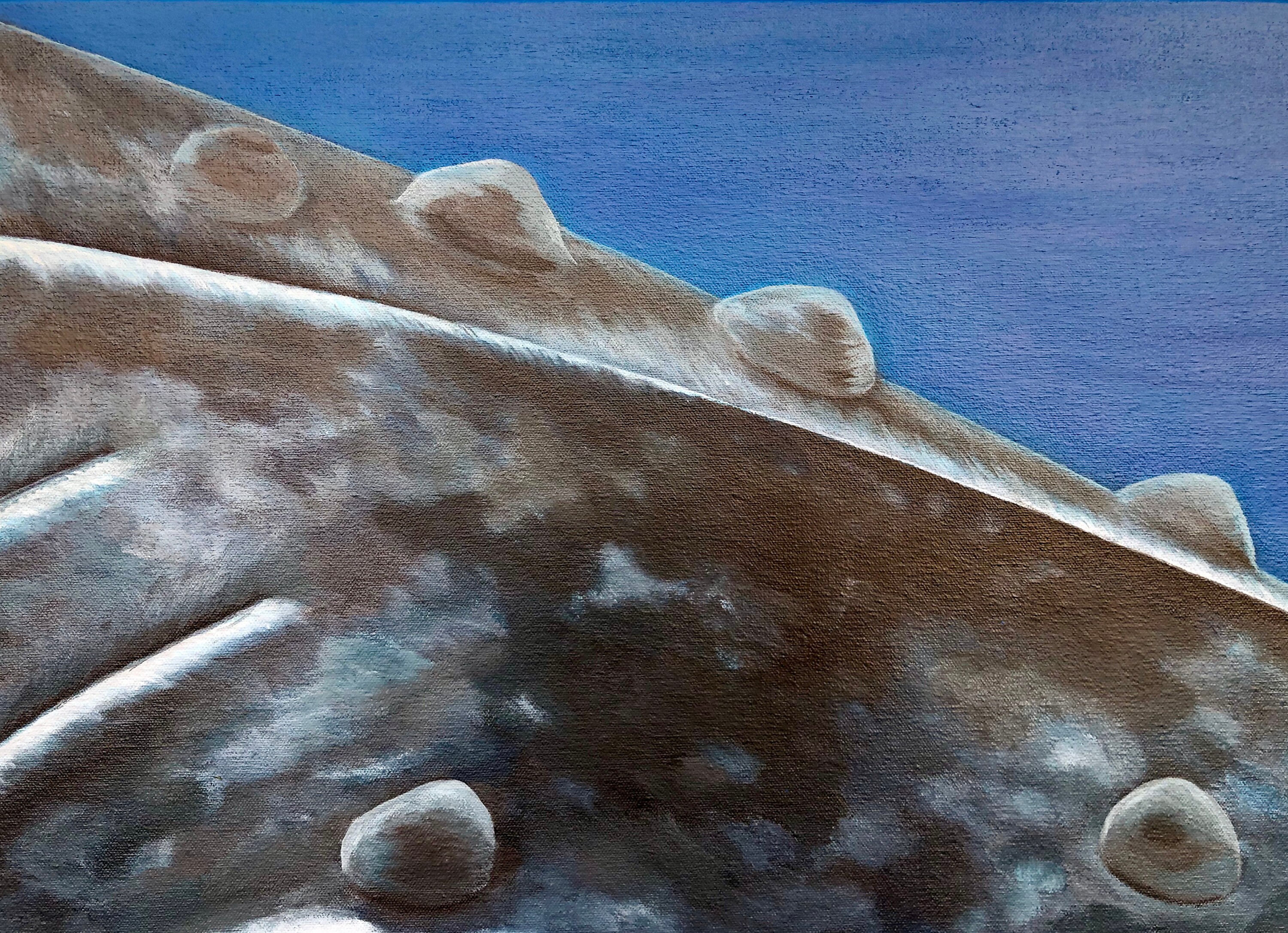 Humpback Whale Art | Whale Painting | Large Whale Art | Whale Eye Close ...