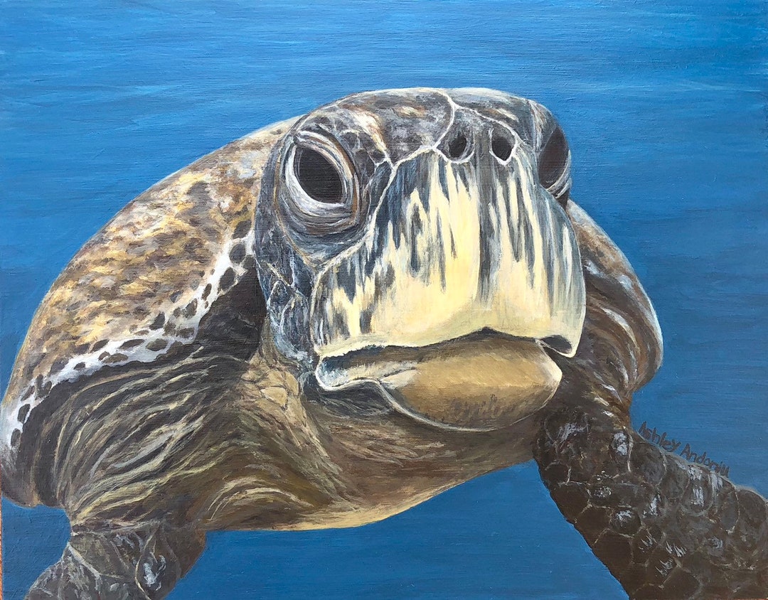 Sea Turtle Art | Colorful Turtle Painting | Small Sea Turtle Art ...
