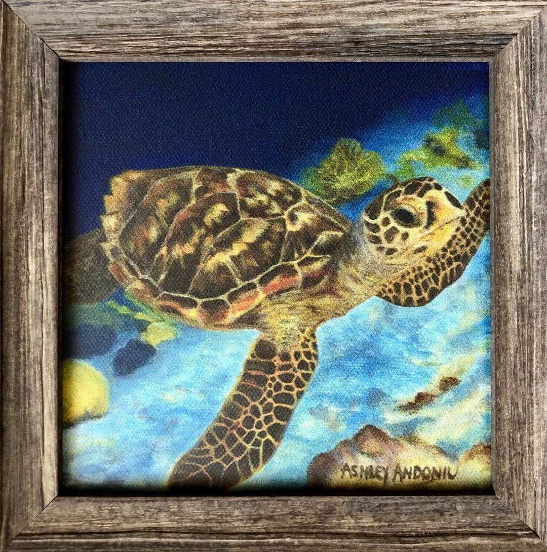 Framed Sea Turtle Prints Baby Sea Turtle Art Wood Frame Turtle Print on ...