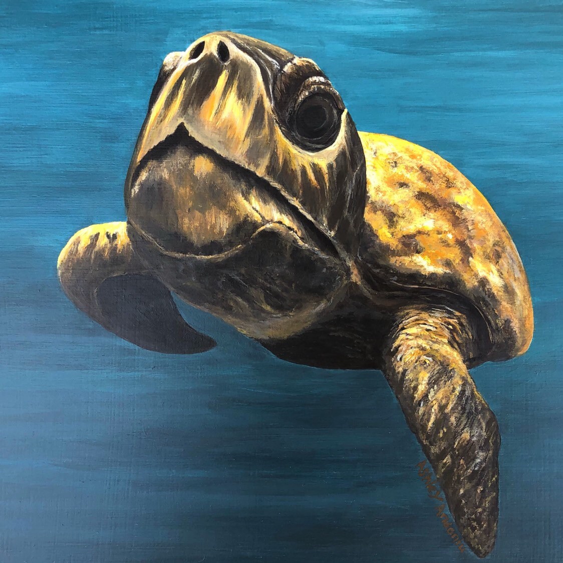 Cute Sea Turtle Art | Detailed Sea Turtle Painting | Turtle Art | Small ...