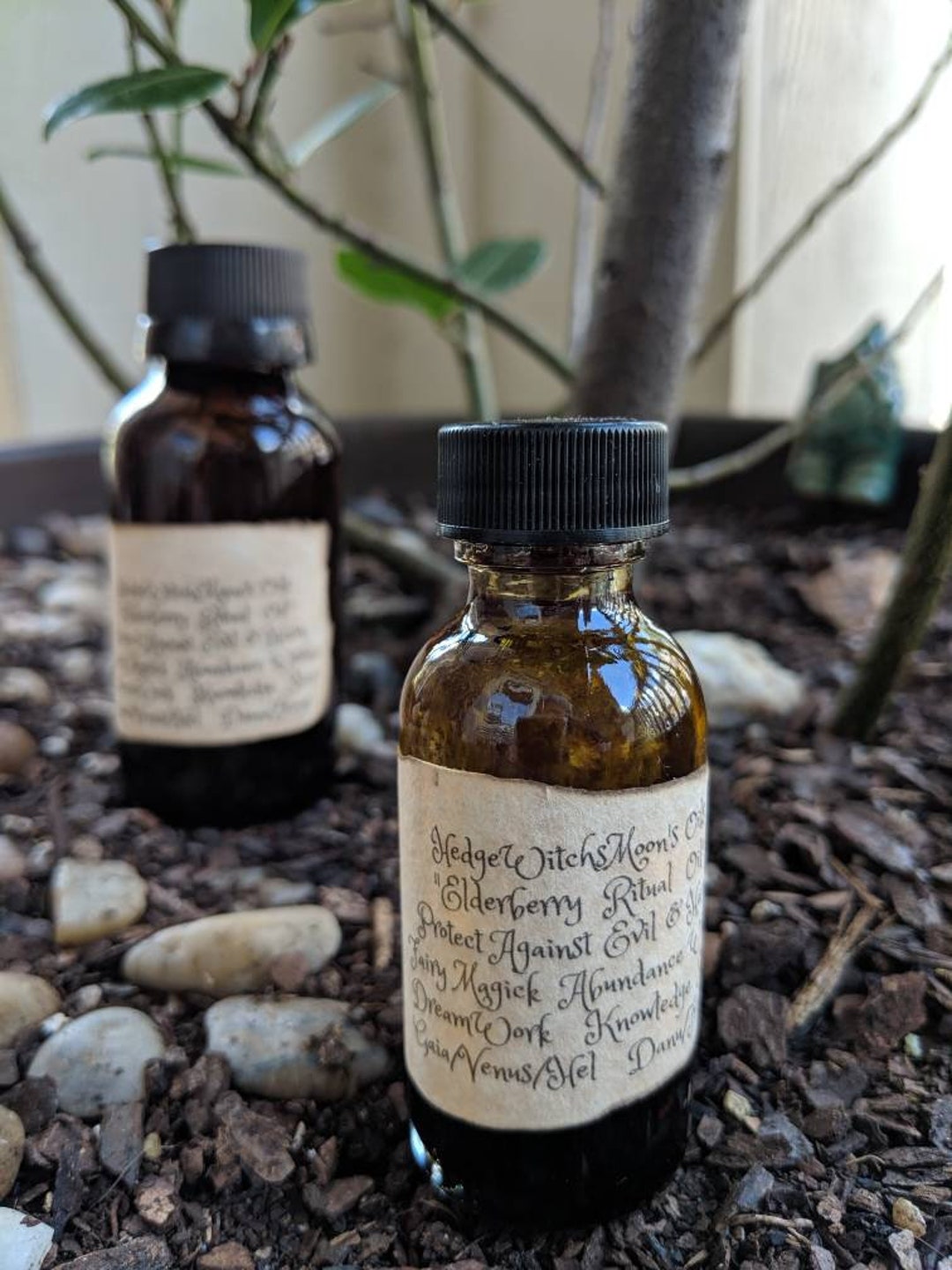 Elderberry Ritual Oil. 1/2 Oz. 1 Oz. Bottles Witchcrafted. Nature ...