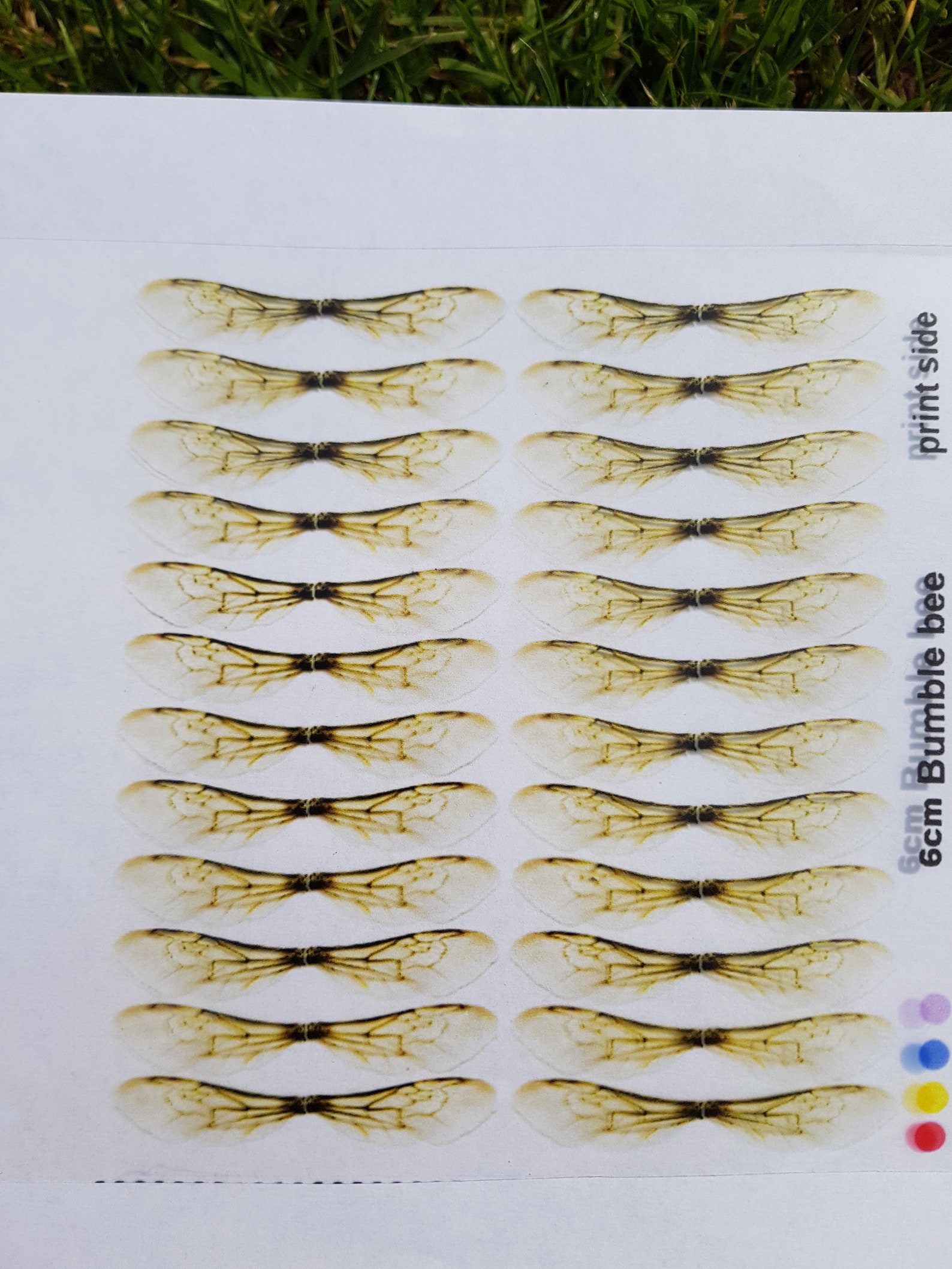Bumble Bee Wings. 24 Pairs of Wings on Acetate Ready to Cut Out. 6cm ...