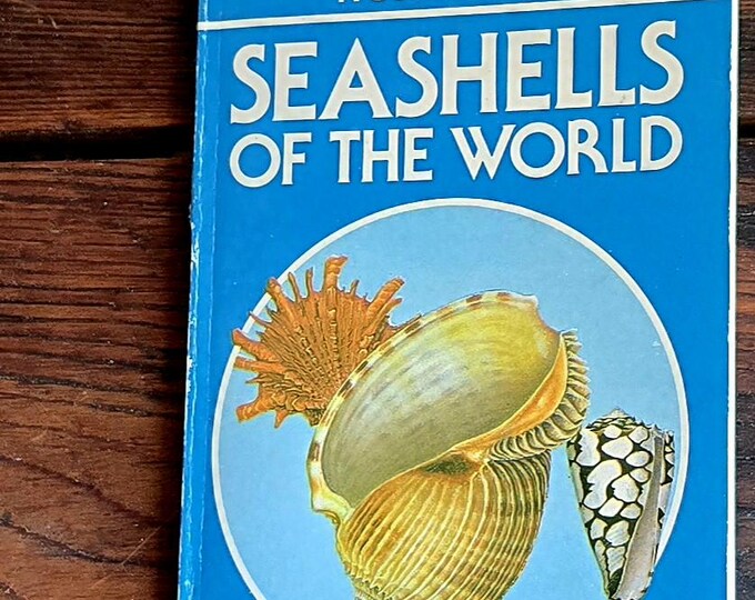 1985 Seashells of the World Golden Guide – Vintage Seashell ...