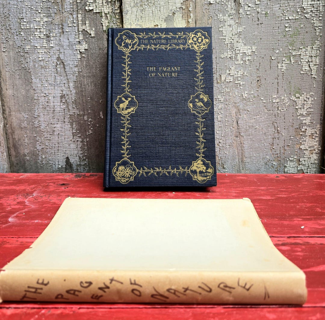 1927 Vintage Nature Library: 'the Pageant of Nature' by Gaylord Johnson ...