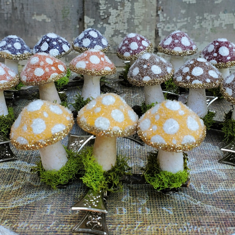 Mushroom Set - Etsy