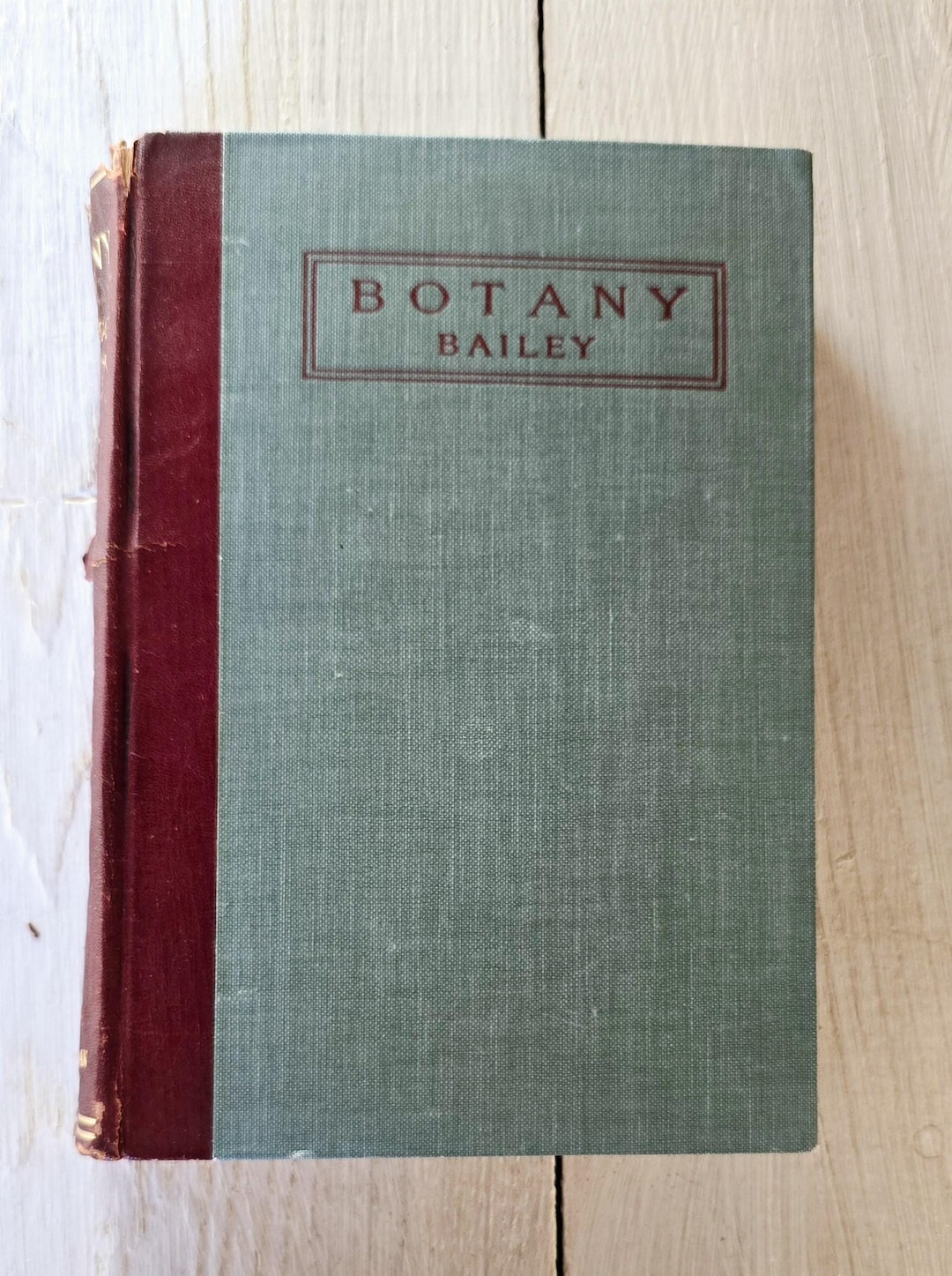 Antique 1905 Botany: an Elementary Text for Schools by L.H. Bailey ...