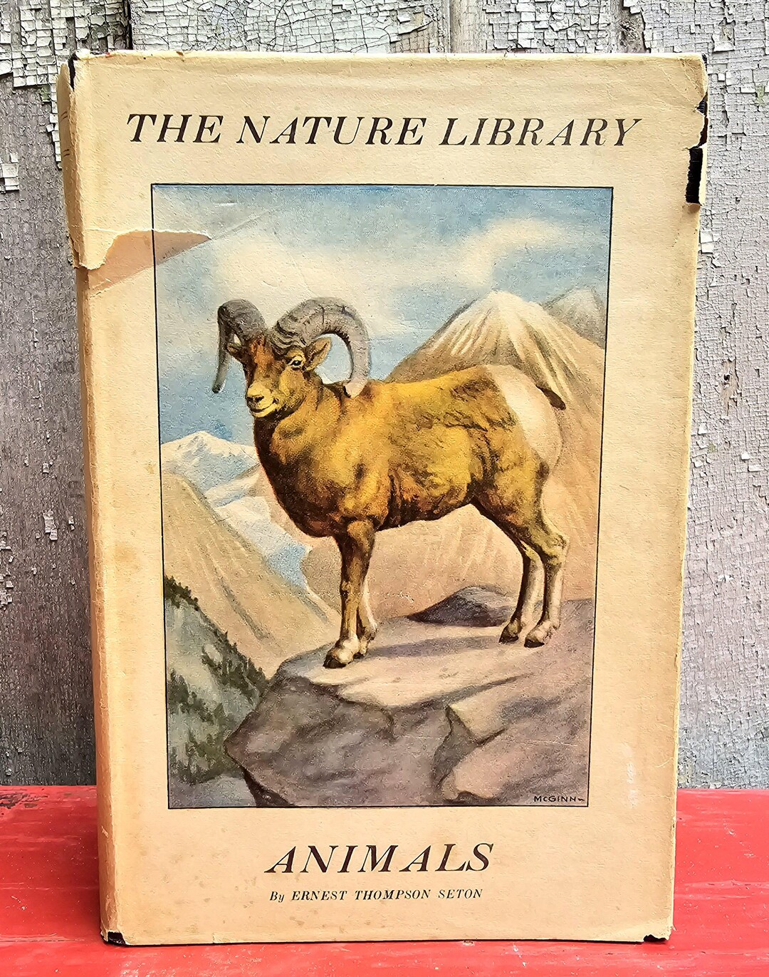 Vintage 1927 "animals" Book by Ernest Thompson Seton: Color ...