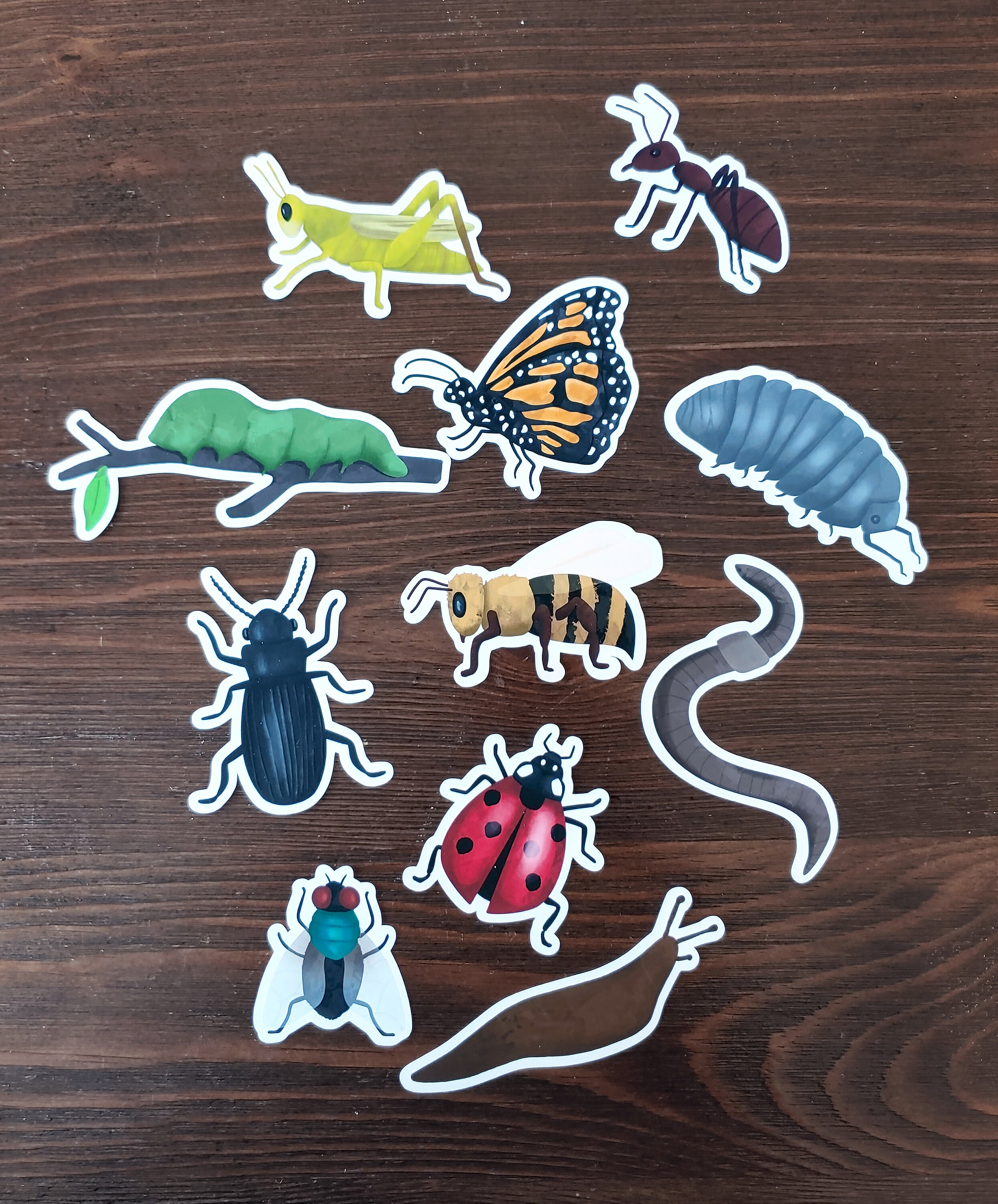 Downloadable Preschool or Kindergarten Bugs Learning Packet - Etsy