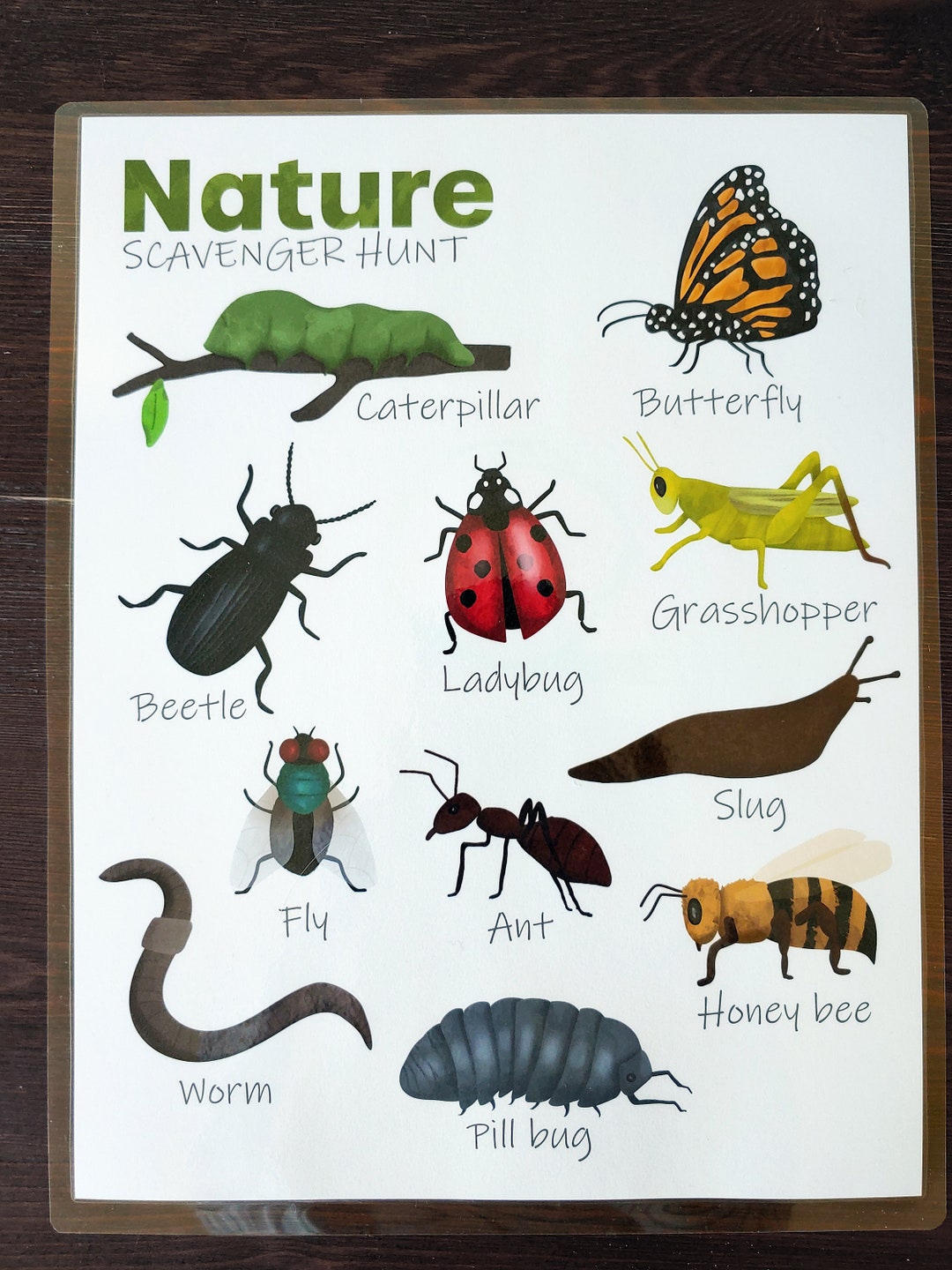 Downloadable Preschool or Kindergarten Bugs Learning Packet - Etsy