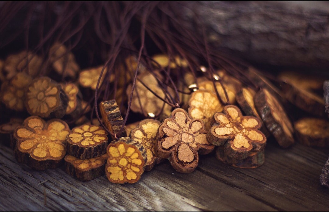 Colar exclusivo de videira de ayahuasca - Pingente Banisteriopsis Caapi feito à mão e ecológico ...