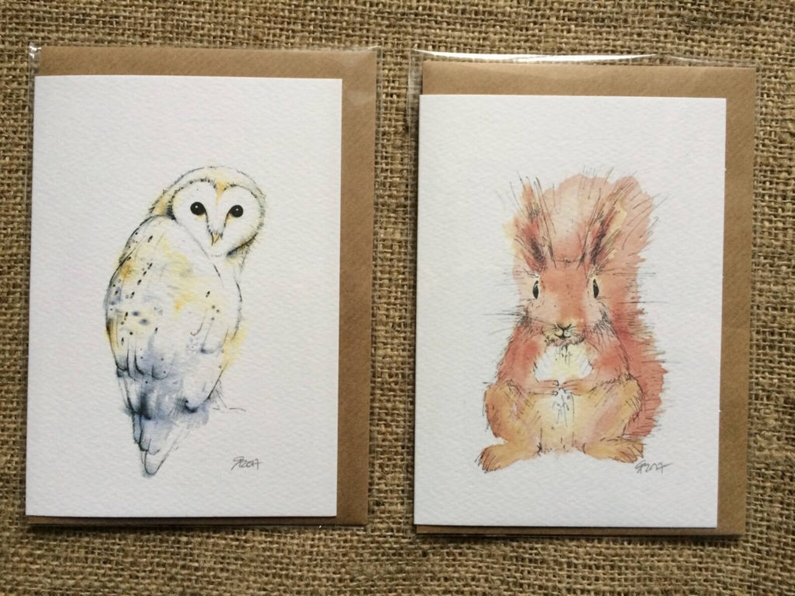 Pack of Six Mixed British Wildlife Greetings Cards Wildlife - Etsy