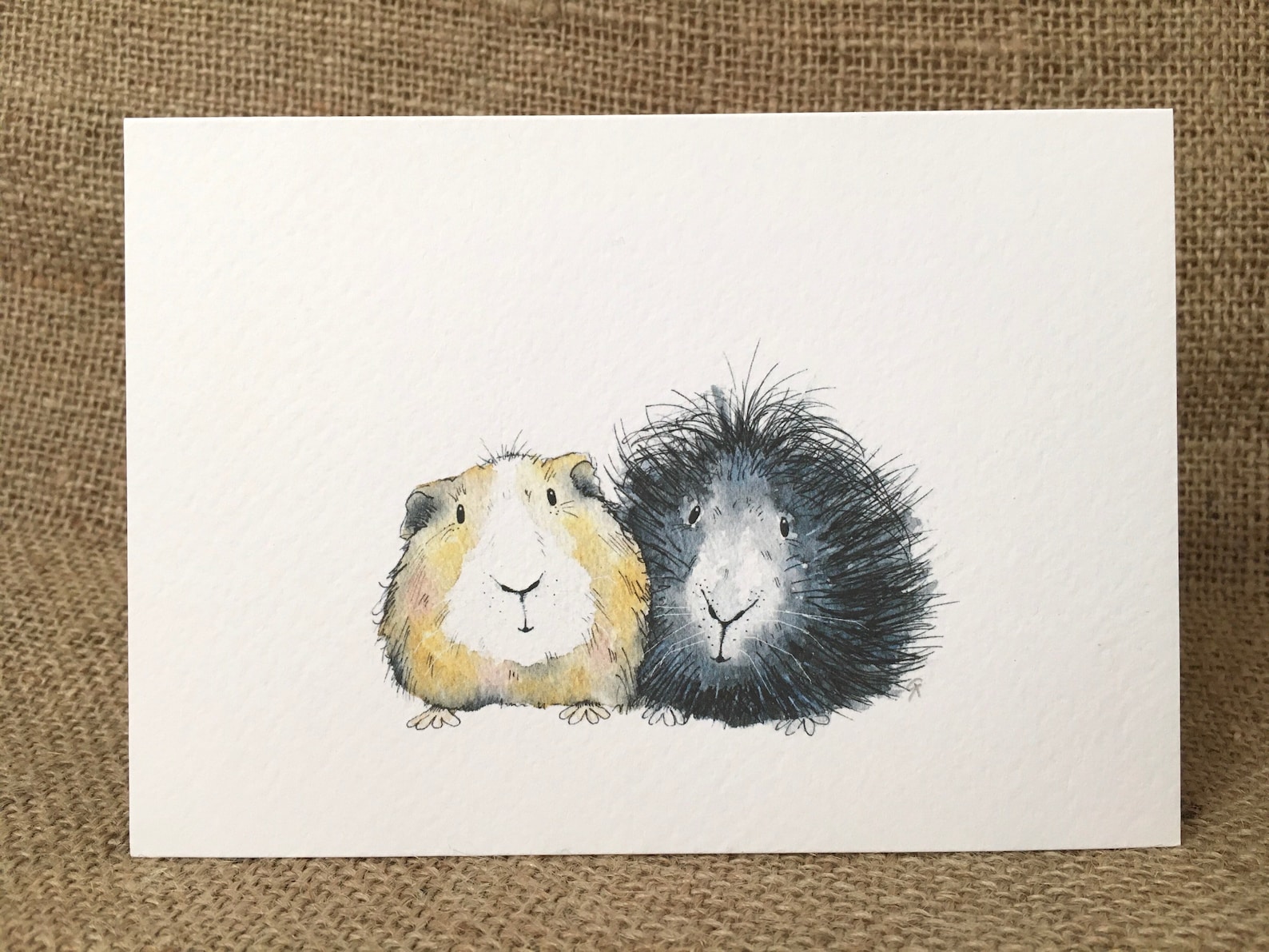 Guinea Pigs Greetings Card | Etsy