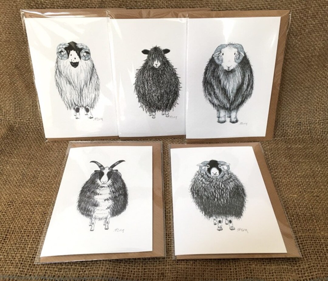 Pack of Five Mixed Sheep Cards, Sheep Breeds Cards, Pack of Five Cards ...