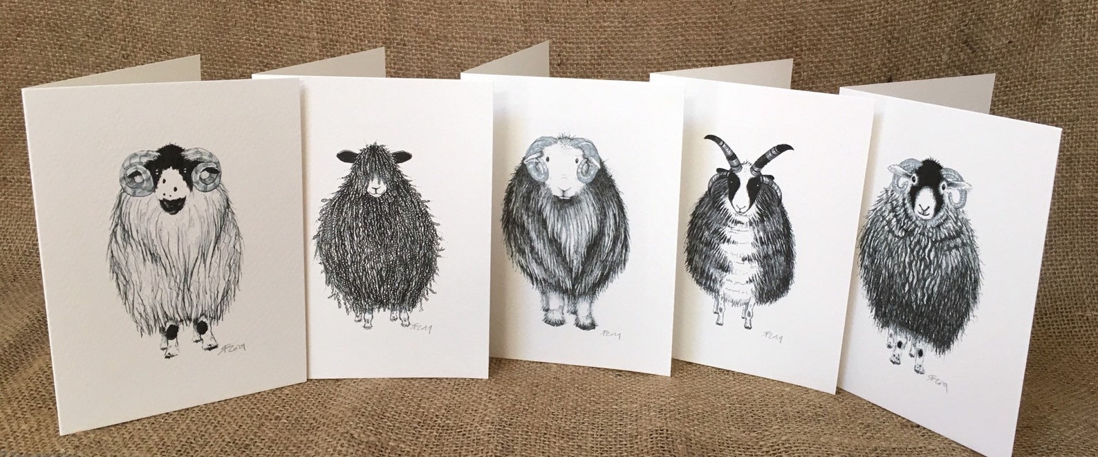 Pack of Five Mixed Sheep Cards, Sheep Breeds Cards, Pack of Five Cards ...