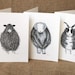 Pack of Five Mixed Sheep Cards Sheep Breeds Cards Pack of - Etsy