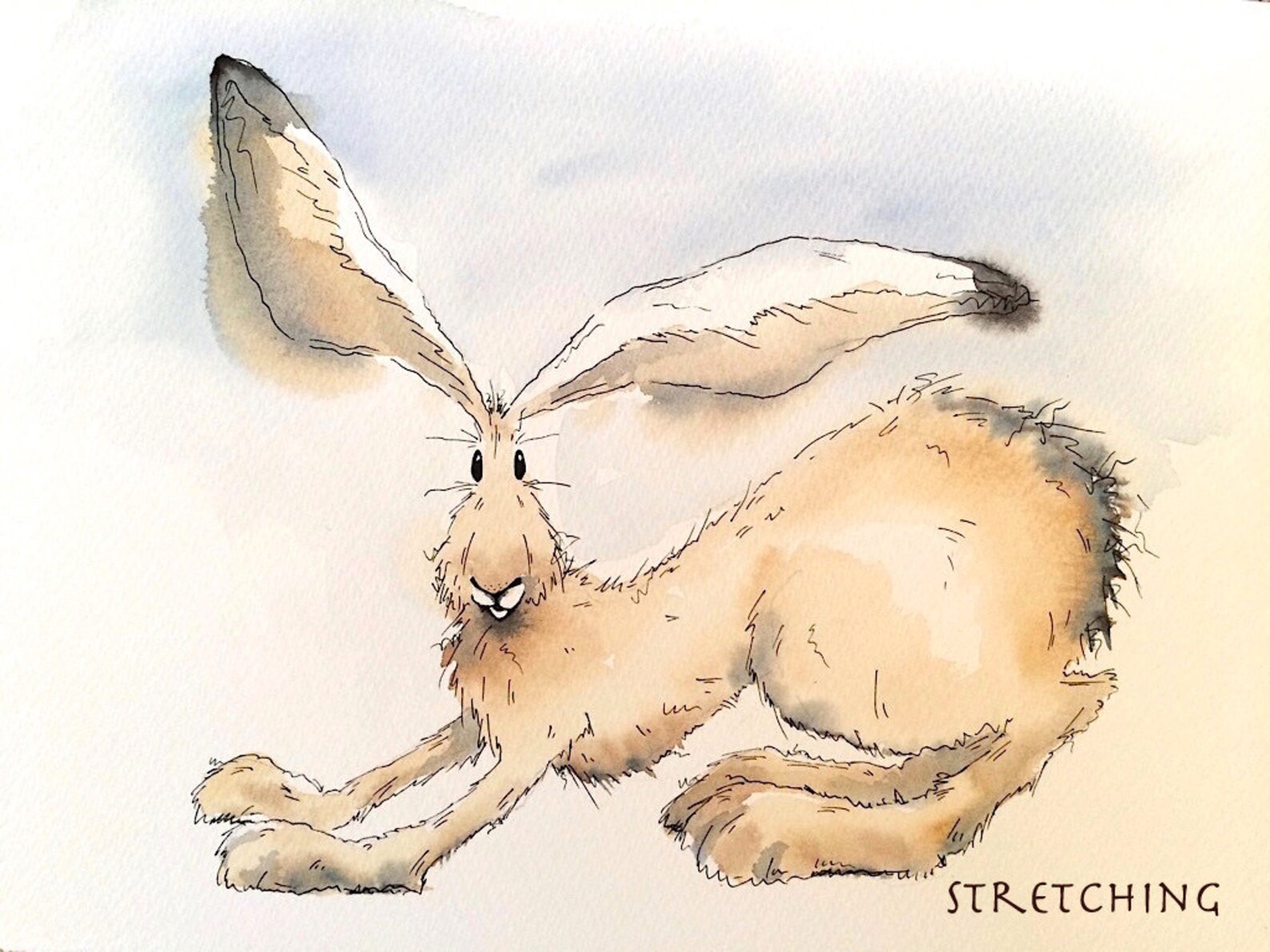 TWO Hare Prints, OFFER Two Limited Edition Hare Prints, Hare Print ...