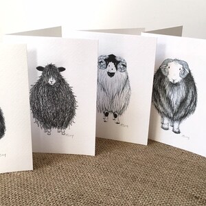 Pack of Five Mixed Sheep Cards, Sheep Breeds Cards, Pack of Five Cards ...
