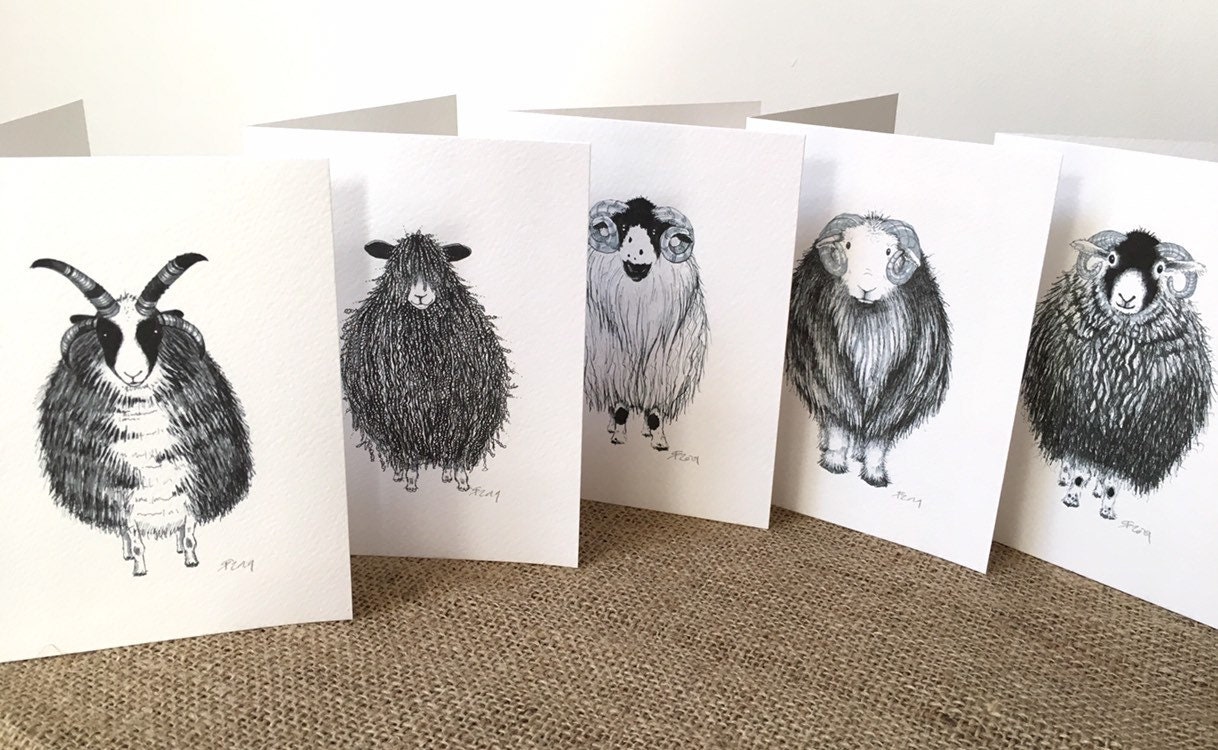 Pack of Five Mixed Sheep Cards Sheep Breeds Cards Pack of | Etsy UK