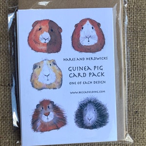 Pack of Five Mixed Guinea Pig Greetings Cards, Guinea Pig Notecards ...