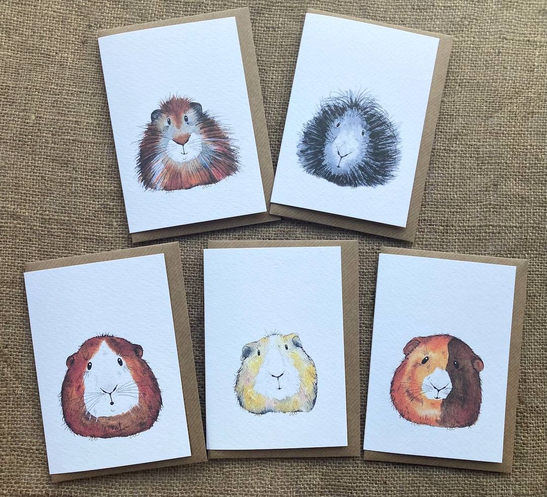 Pack of Five Mixed Guinea Pig Greetings Cards, Guinea Pig Notecards ...