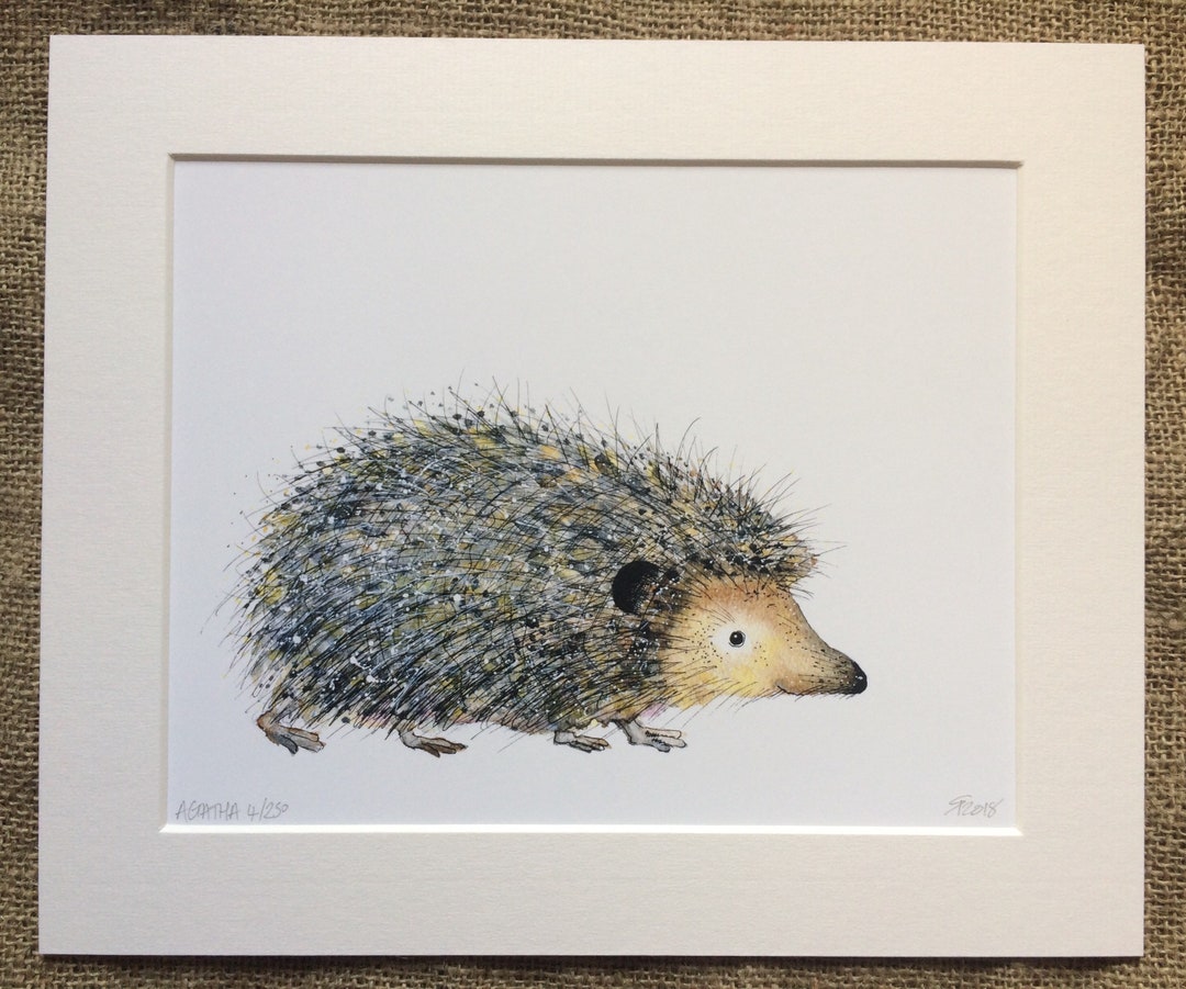 Hedgehog Print, Limited Edition Print, Hedgehog Art - Etsy