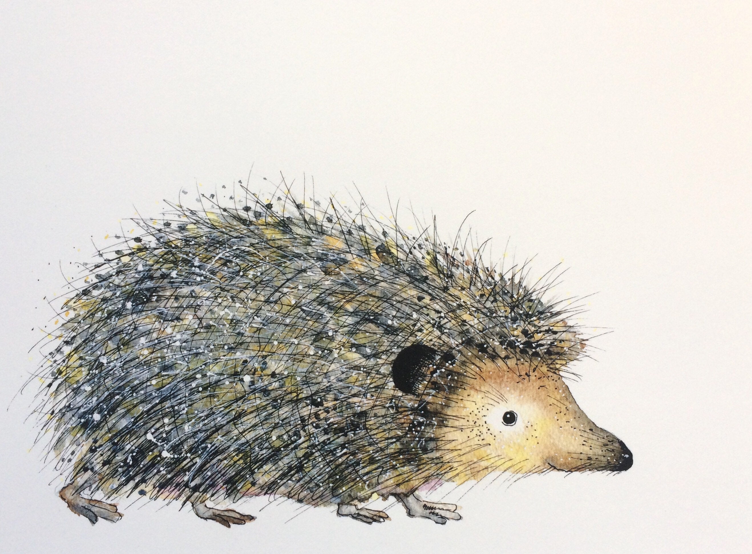 Hedgehog Print, Limited Edition Print, Hedgehog Art - Etsy