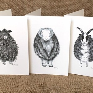 Pack of Five Mixed Sheep Cards, Sheep Breeds Cards, Pack of Five Cards ...