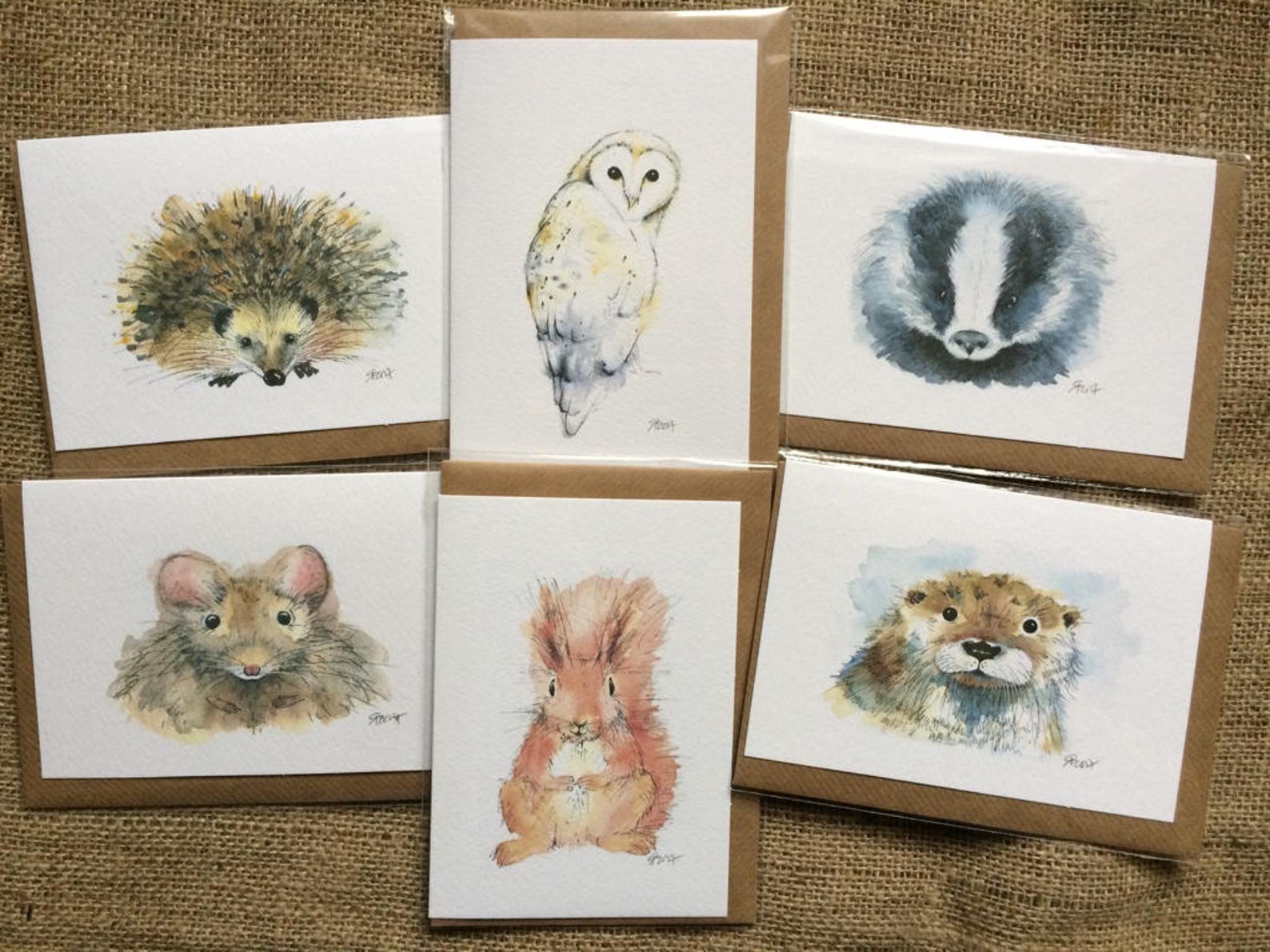 Pack of Six Mixed British Wildlife Greetings Cards Wildlife - Etsy
