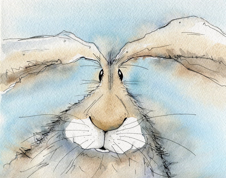 Hare Print - William the Hare, Rabbit Print, Limited Edition Print ...