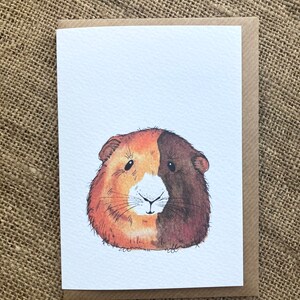 Pack of Five Mixed Guinea Pig Greetings Cards, Guinea Pig Notecards ...