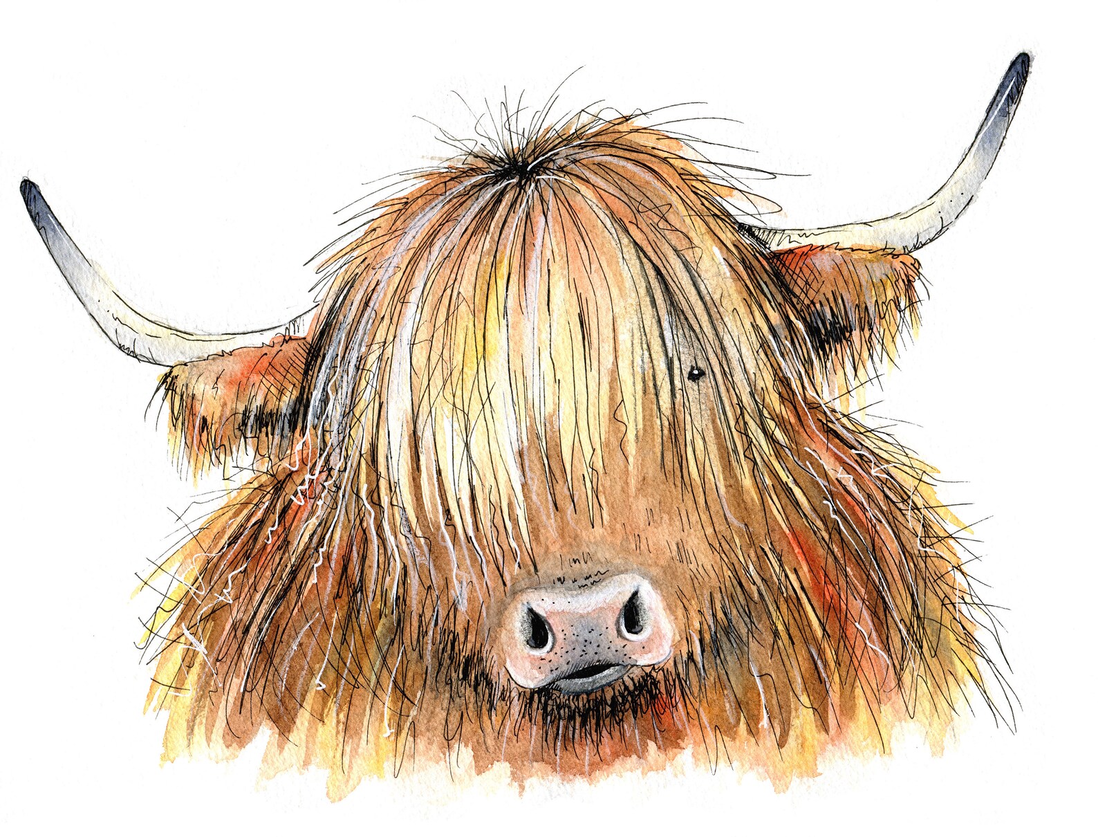 Highland Cow Print, Limited Edition Print, Cow Print - Etsy