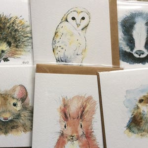 Pack of Six Mixed British Wildlife Greetings Cards, Wildlife Cards ...
