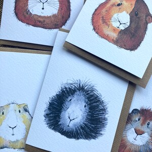 Pack of Five Mixed Guinea Pig Greetings Cards, Guinea Pig Notecards ...