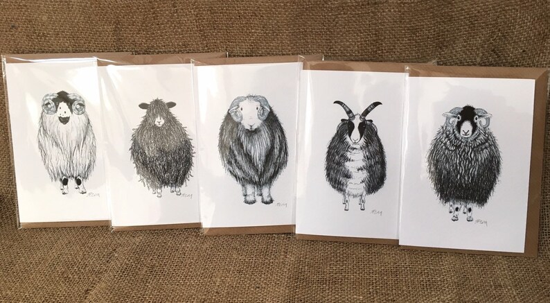 Pack of five mixed sheep cards sheep breeds cards pack of | Etsy