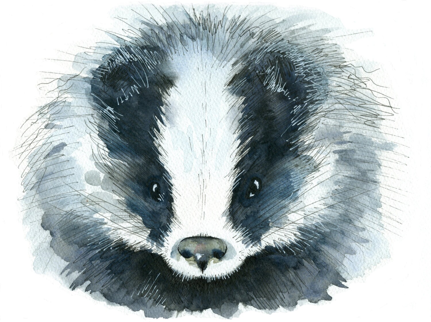 Badger limited edition print badger print | Etsy