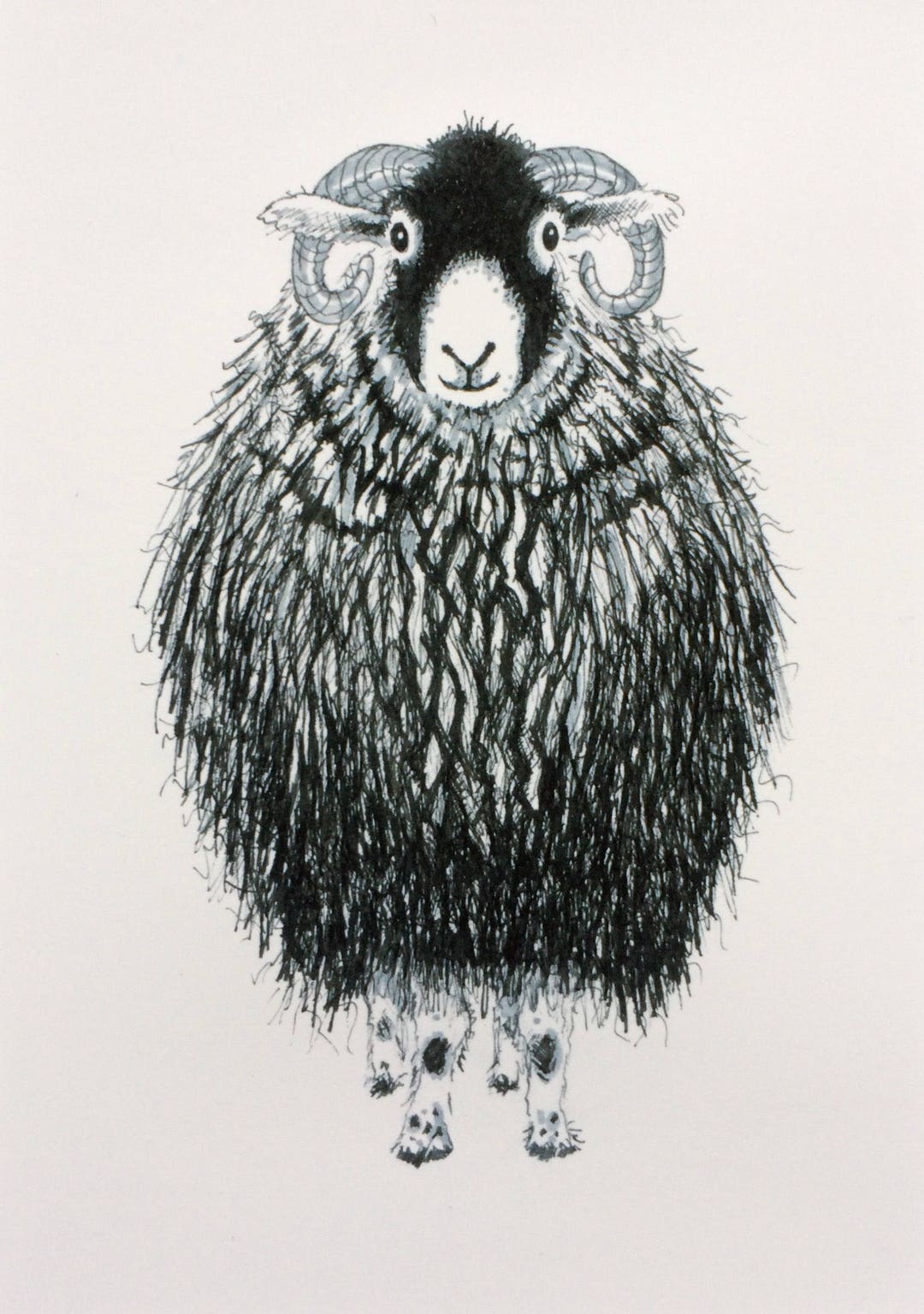 Limited Edition Print - Swaledale Sheep, Sheep Print, Swaledale Print ...