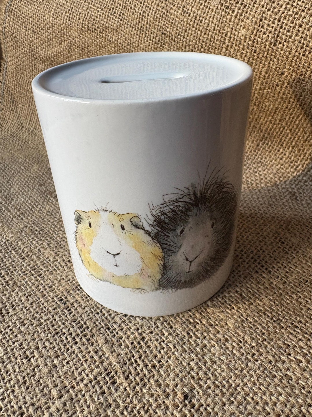 Guinea Pigs Money Box, Guinea Piggy Bank, Piggy Bank, Ceramic Money Box ...