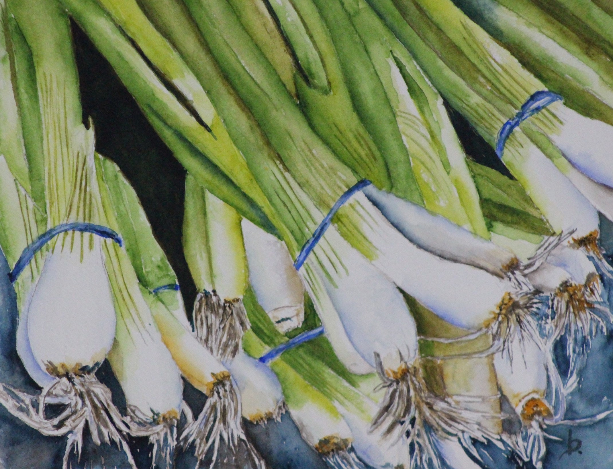 Green Onion Illustration