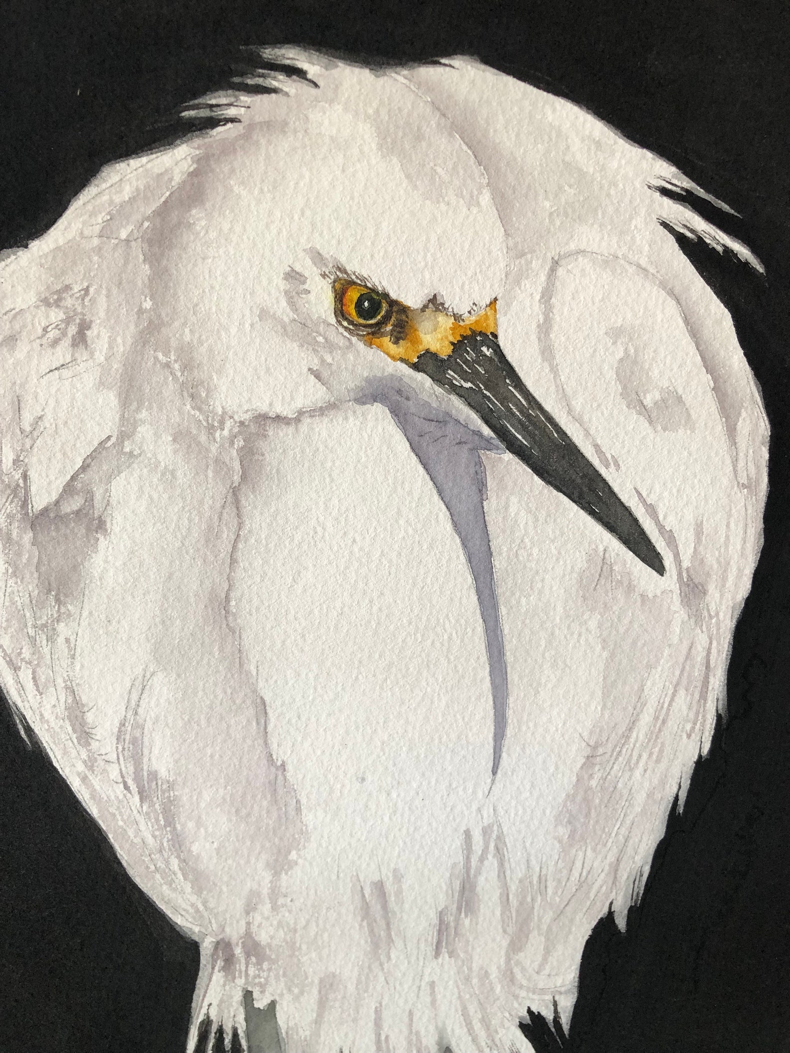 Egret Painting, Merry Pier, Pass a Grille, Coastal Bird Art, Original ...