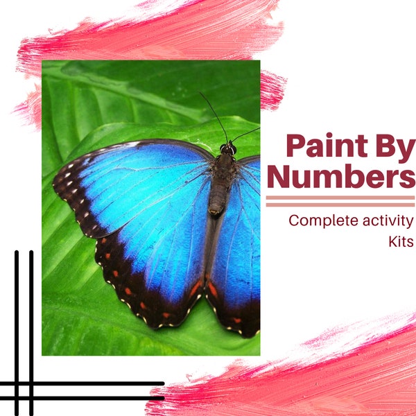 Butterfly for Sip and Paint - Etsy