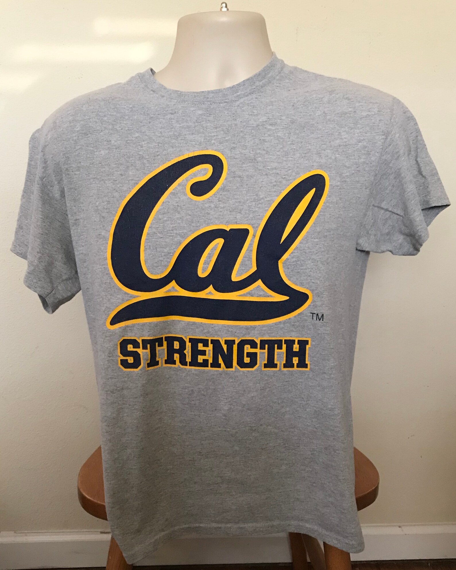 Cal Berkeley T Shirts Vintage Sports T Shirts cal - Etsy