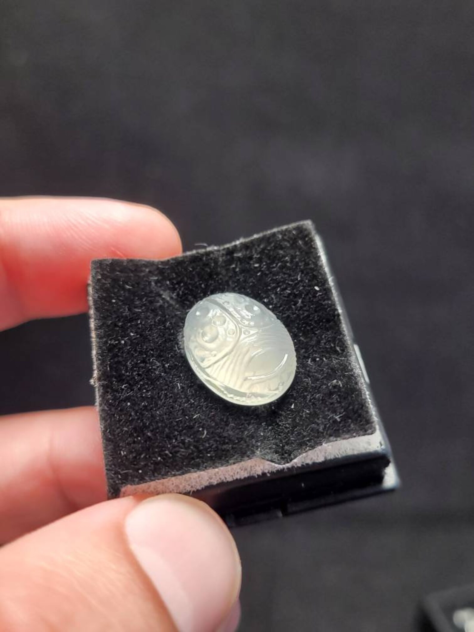 Moonstone Alien Scarab Carving - Etsy