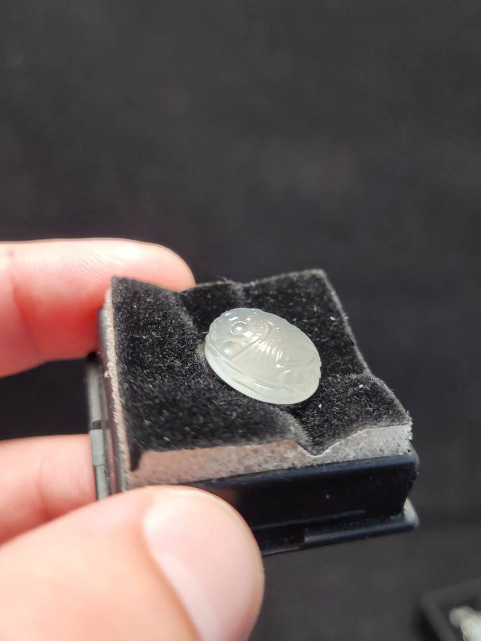 Moonstone Alien Scarab Carving - Etsy