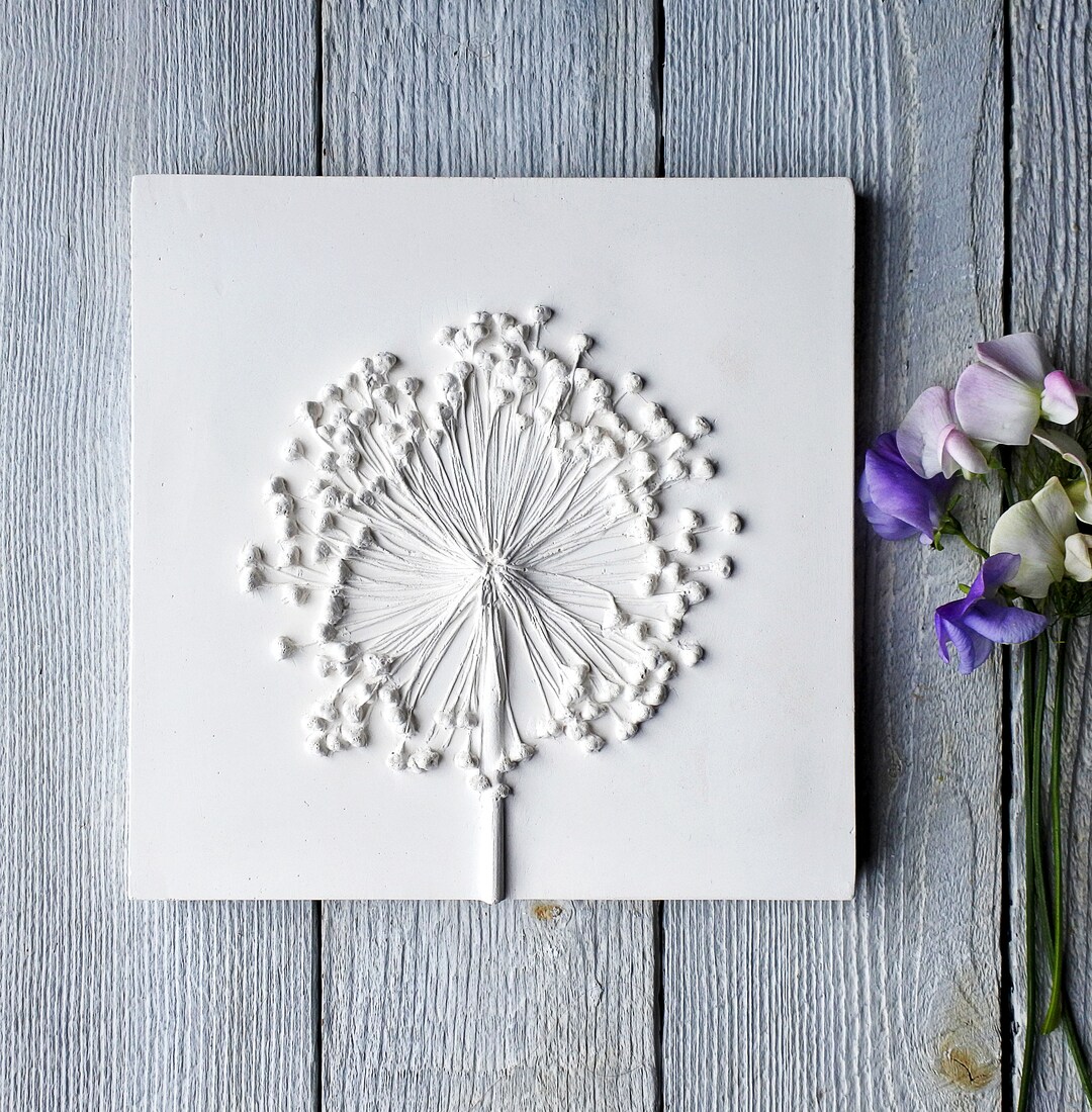 Alliums No.4, Plaster Cast Wall Plaque - 20 X 20cm (8 X 8'') Botanical ...